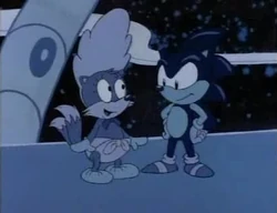 Adventures Of Sonic The Hedgehog Tails New Home