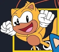 Ray the Flying Squirrel/Gallery | Sonic Wiki Zone | Fandom