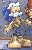 Sir Charles Hedgehog (Pre-Super Genesis Wave) | Sonic Wiki Zone | Fandom