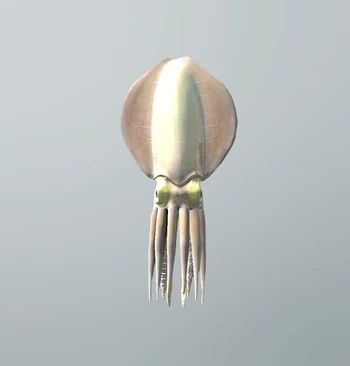 Squid (animal) | Sonic Wiki Zone | Fandom