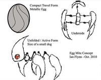 Egg Mite (Pre-Super Genesis Wave) | Sonic Wiki Zone | Fandom