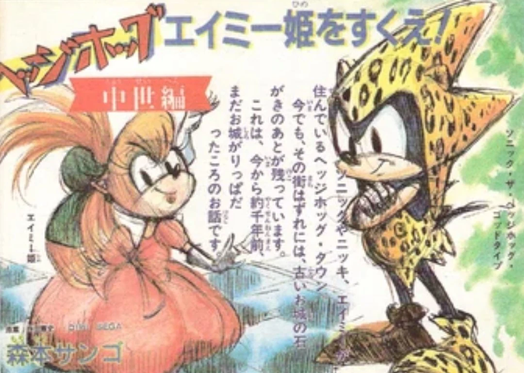 Sonic the Hedgehog Book | Sonic Wiki | Fandom