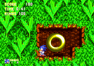 Giant Ring | Sonic Wiki Zone | Fandom