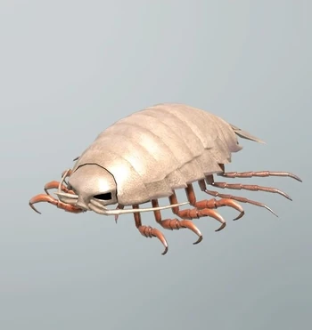 Giant isopod | Sonic Wiki Zone | Fandom