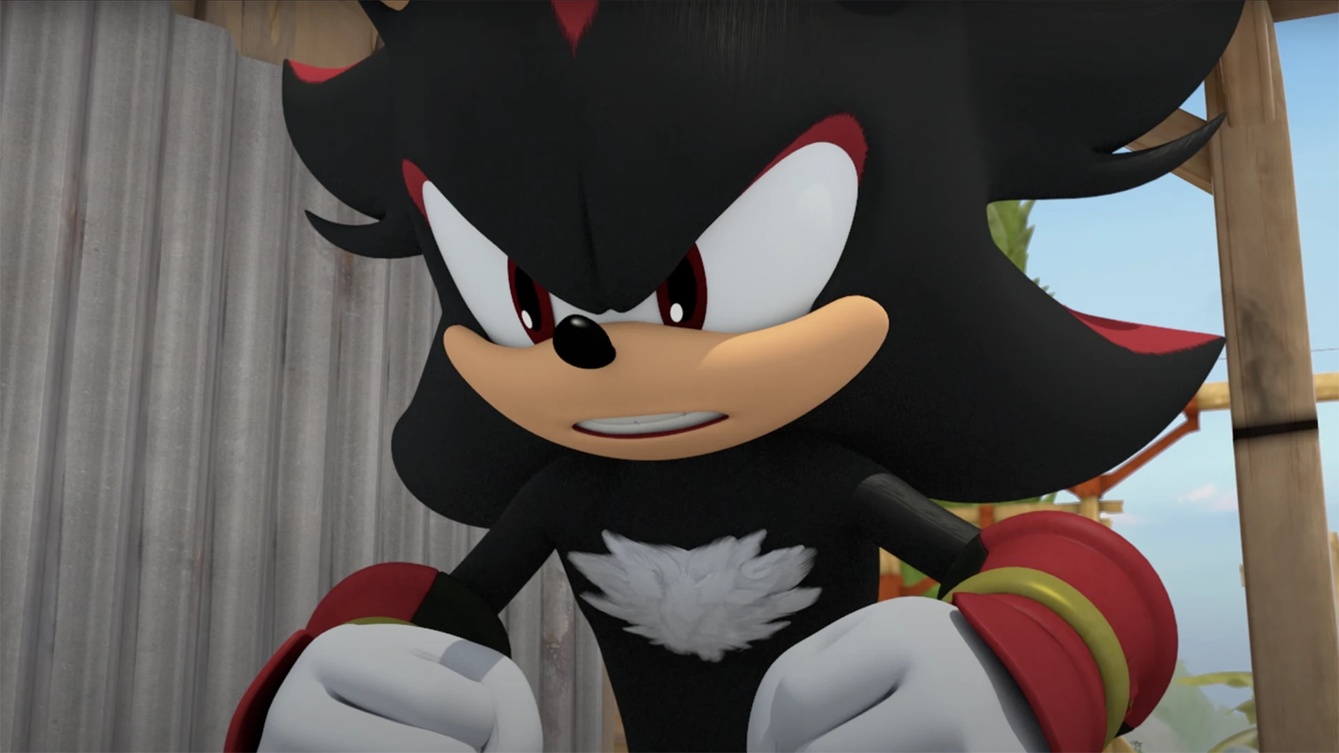 Shadow The Hedgehog Sonic Boom Why Does Shadow Hate Sonic In Sonic