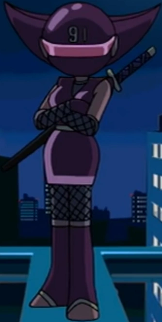 E-91 Lady Ninja | Sonic Wiki Zone | Fandom