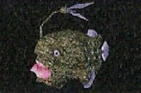 Anglerfish | Sonic Wiki Zone | Fandom