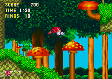 Glide | Sonic Wiki Zone | Fandom