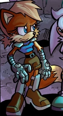 Discuss Everything About Sonic Wiki Zone | Fandom