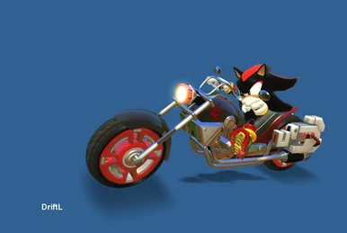 Shadow The Hedgehog On His Motorcycle