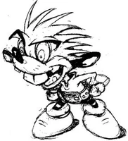 Choy | Sonic Wiki Zone | Fandom