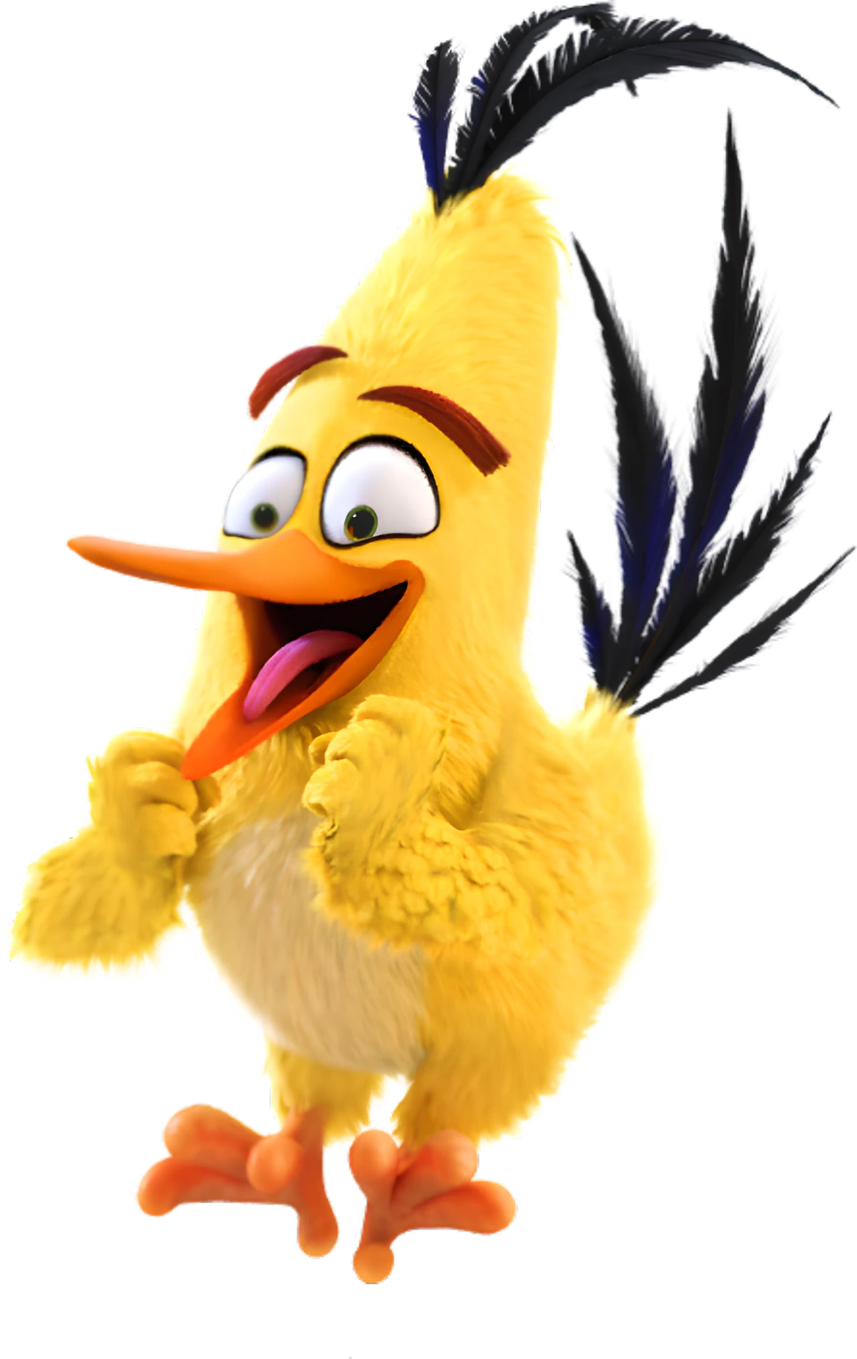 Chuck (Angry Birds) | Sonic Wiki Zone | Fandom