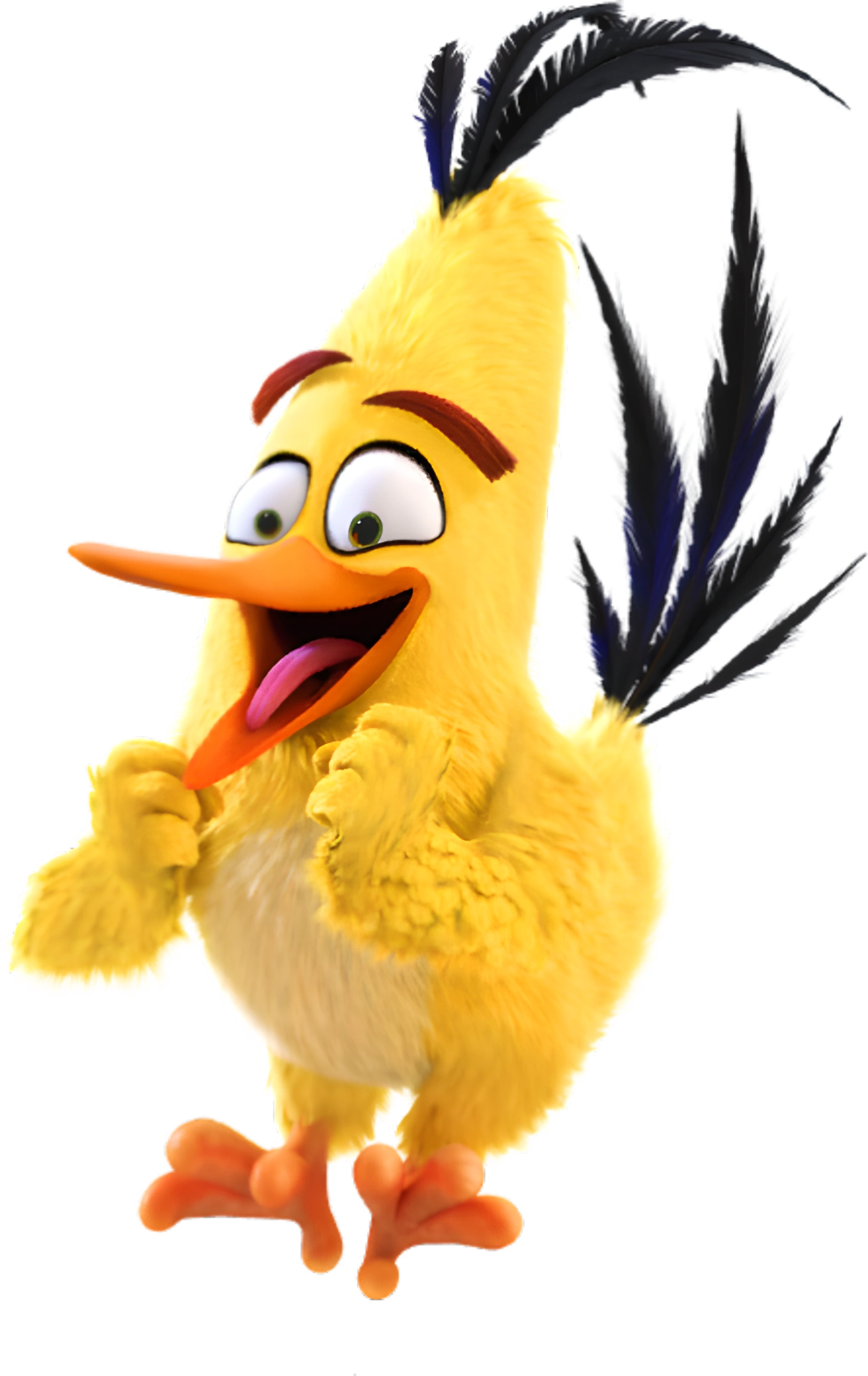 Chuck (Angry Birds) | Sonic Wiki Zone | Fandom