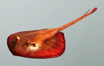 Red stingray | Sonic Wiki Zone | Fandom