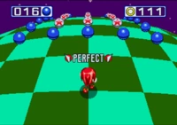 Perfect Bonus | Sonic Wiki | Fandom