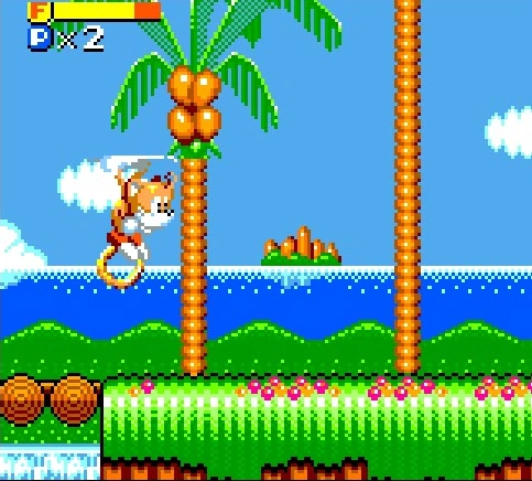 Training Area | Sonic Wiki | Fandom