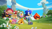 Sonic the Hedgehog X Angry Birds | Sonic Wiki Zone | Fandom