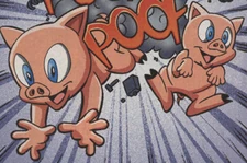 Picky (Sonic X) | Sonic Wiki Zone | Fandom