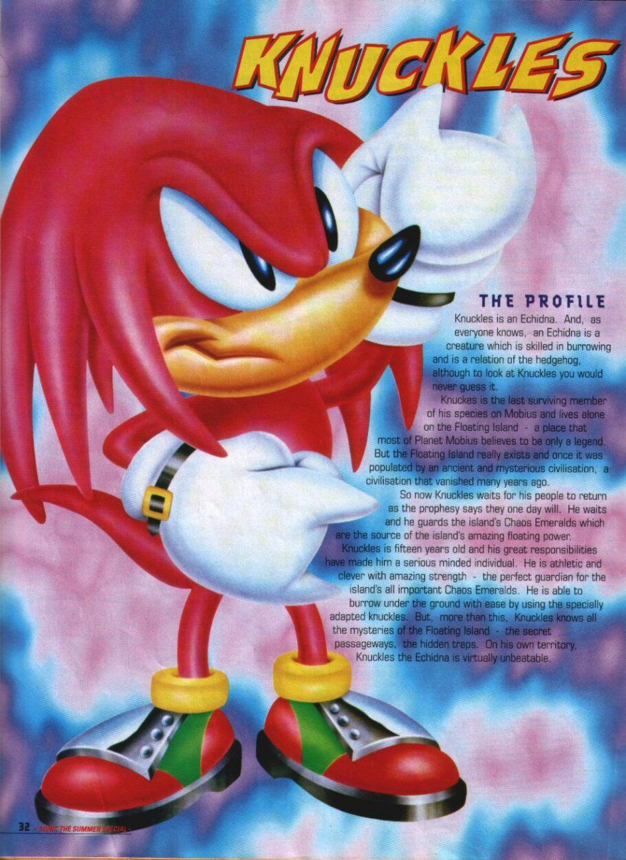 Knuckles The Echidna Poster, 51% OFF | www.pinnaxis.com