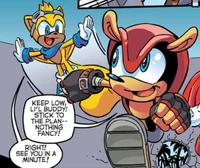 Ray the Flying Squirrel (Archie) | Sonic Wiki Zone | Fandom