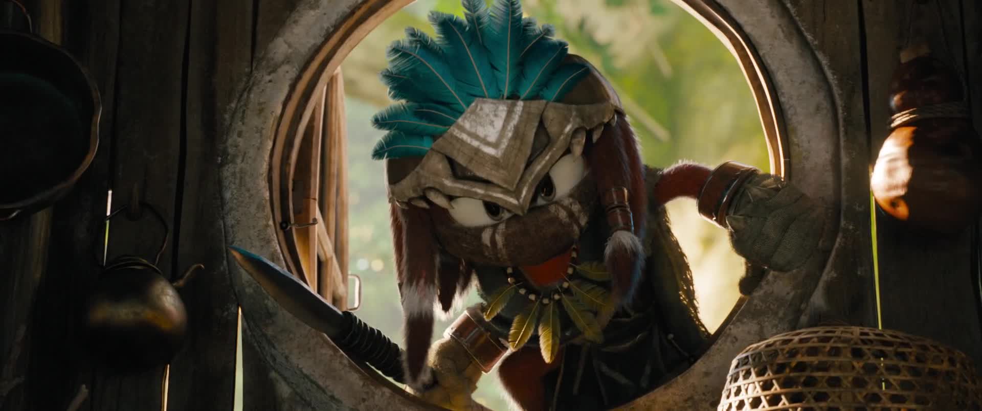 Sonic Echidna