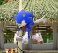 Sole Power | Sonic Wiki Zone | Fandom