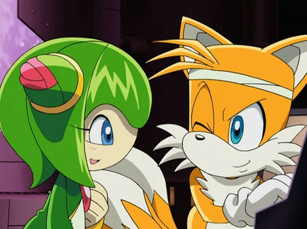 Cosmo And Tails Sonic X
