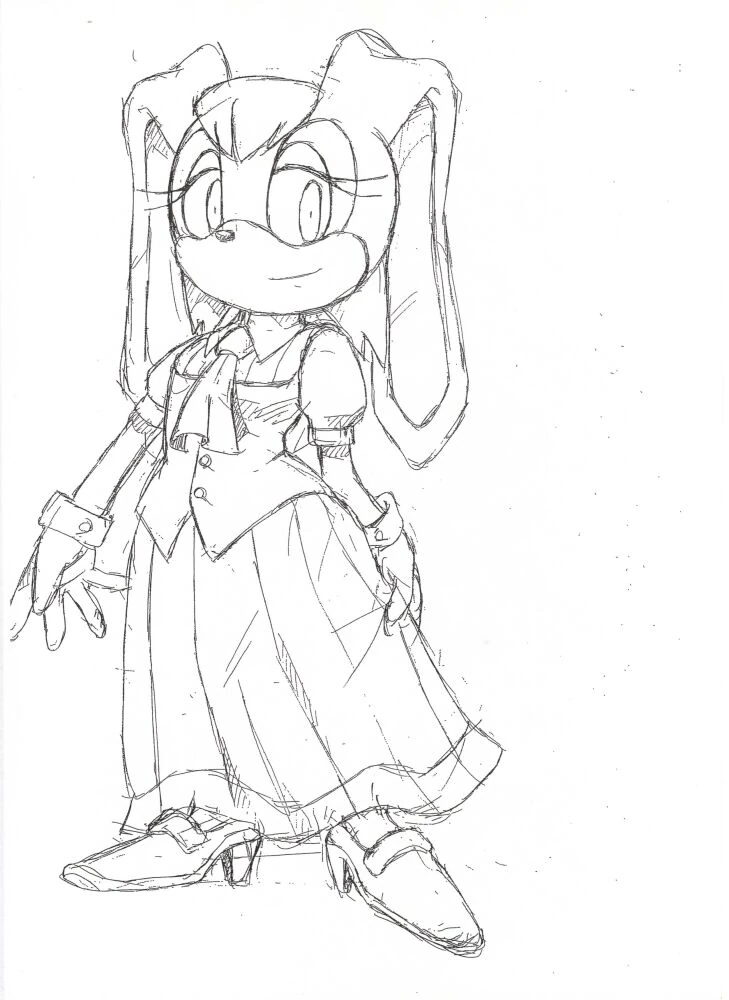 Vanilla the Rabbit/Gallery | Sonic Wiki Zone | Fandom