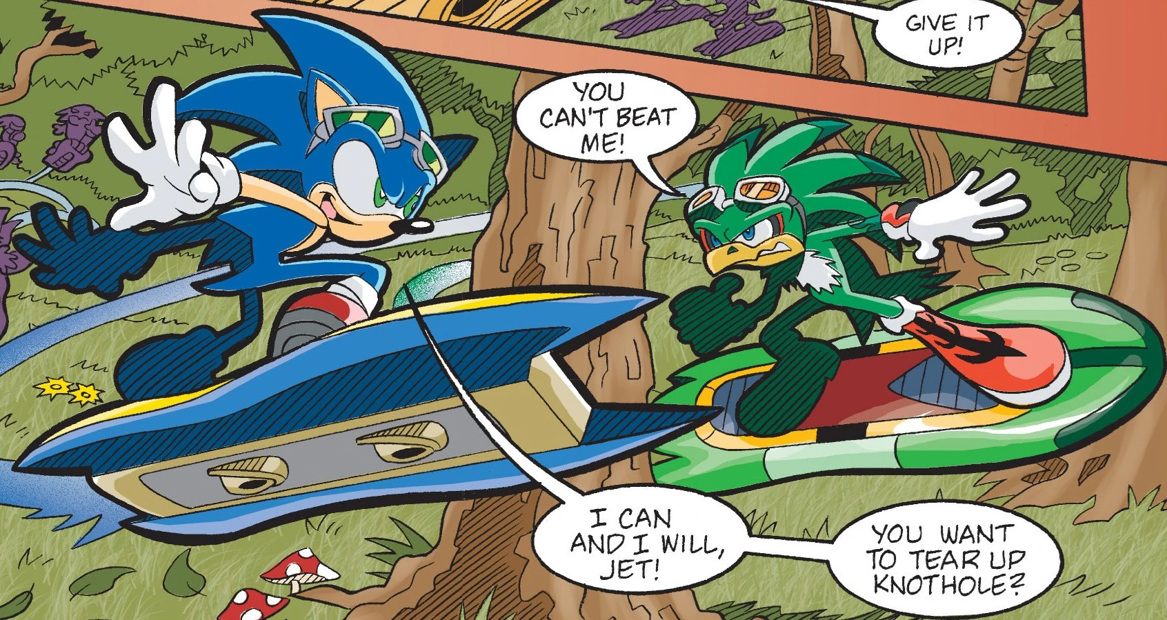 Jet The Hawk And Sonic The Hedgehog