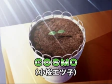 Cosmo | Sonic Wiki Zone | Fandom