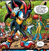 Sally Acorn (Pre-Super Genesis Wave)/Relationships | Sonic Wiki Zone ...
