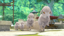 Hedgehog Village | Sonic Wiki Zone | Fandom