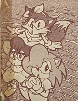 Miss Wing | Sonic Wiki Zone | Fandom