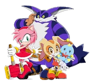 Amy Rose | Sonic X: Heroes Forever Wiki | Fandom