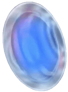 Spin Dash | Sonic X: Heroes Forever Wiki | Fandom