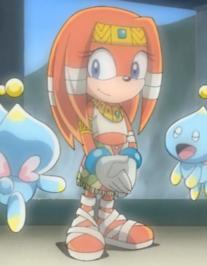 Tikal the Echidna | Sonic X: Heroes Forever Wiki | Fandom