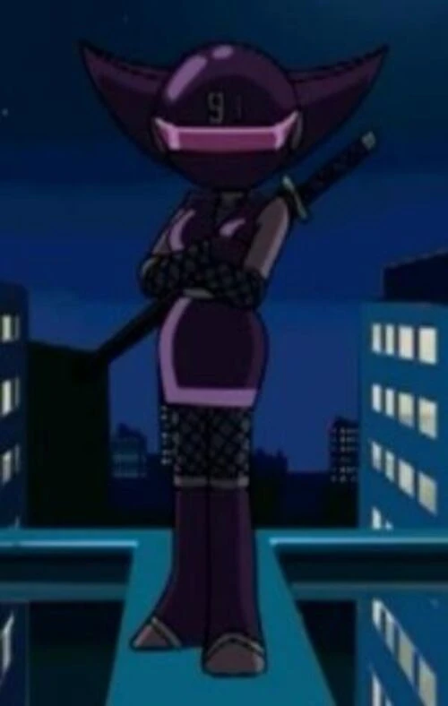 E-91 Lady Ninja | Sonic X: Heroes Forever Wiki | Fandom