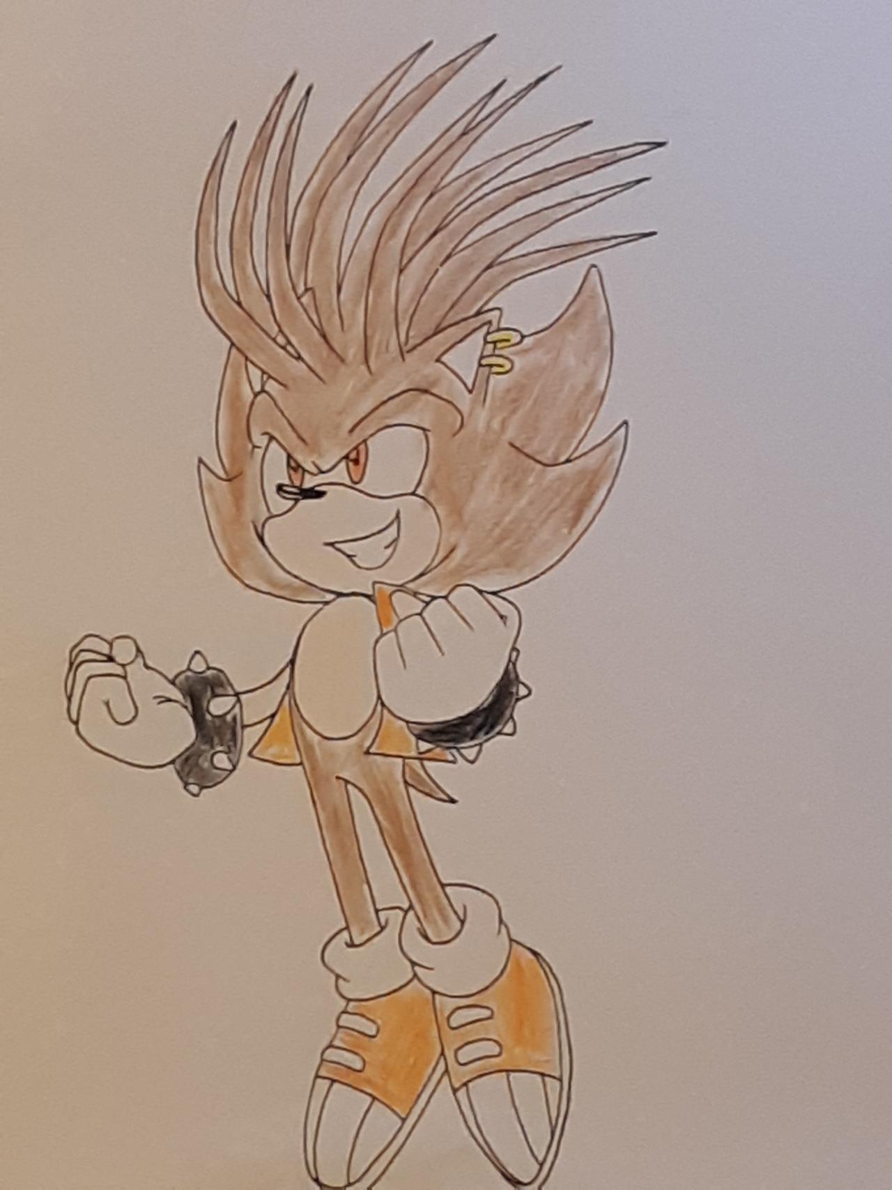 Manic The Hedgehog In Sonic X