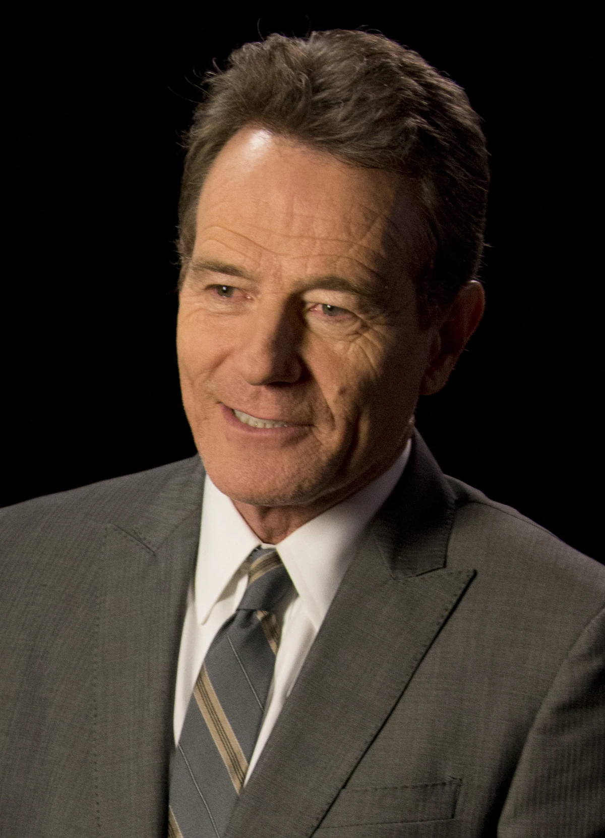 Bryan Cranston | Sonic Adventures Wiki | Fandom