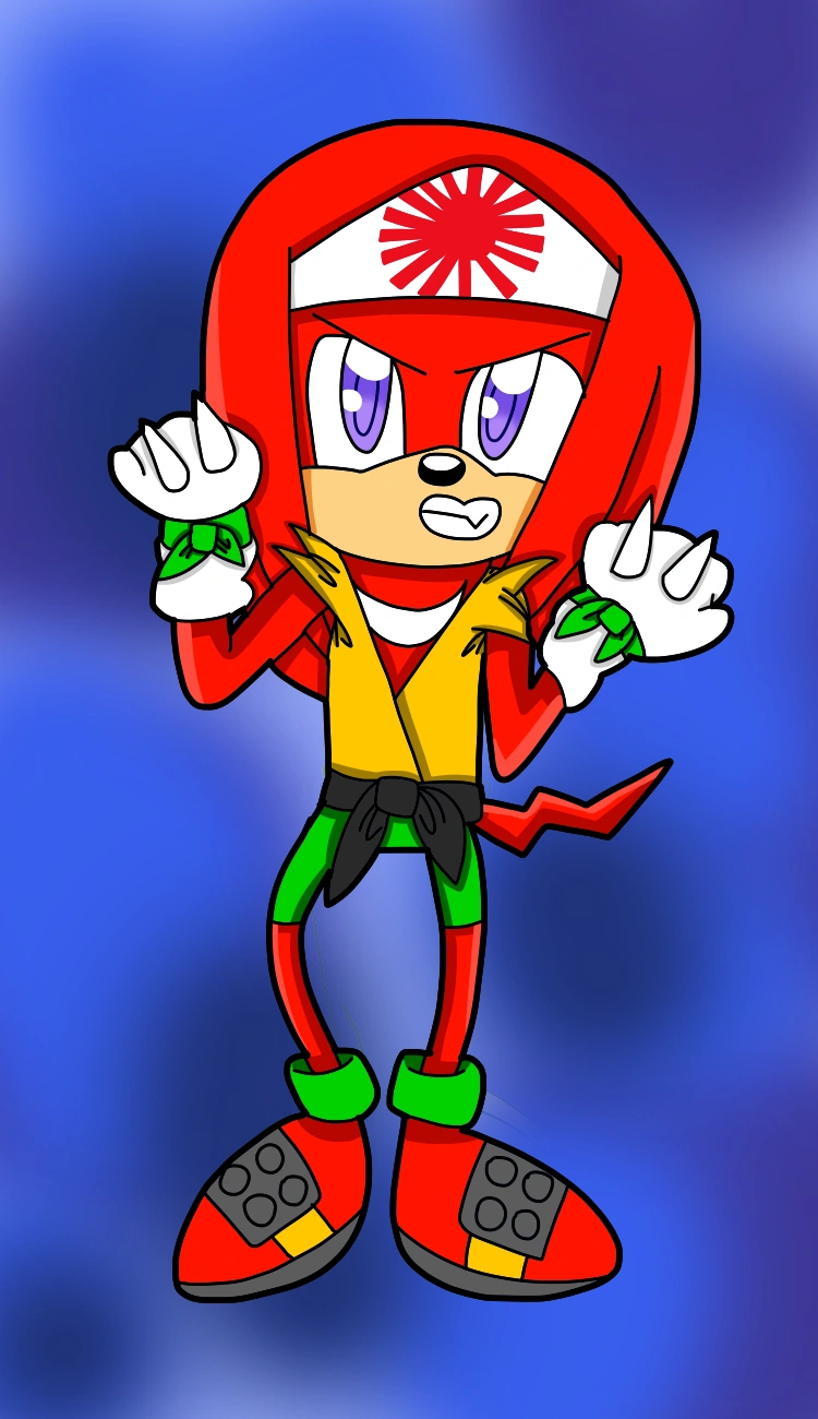 Knuckles The Echidna | Sonic Zeti Lock and Key Wiki | Fandom