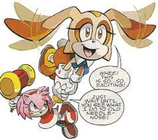 Cream the Rabbit & Cheese | Home Wiki | Fandom