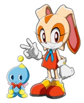 Cream the Rabbit & Cheese | Home Wiki | Fandom
