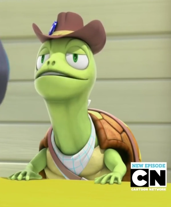 Leroy Tartaruga | Sonic Boom Wiki BR | Fandom