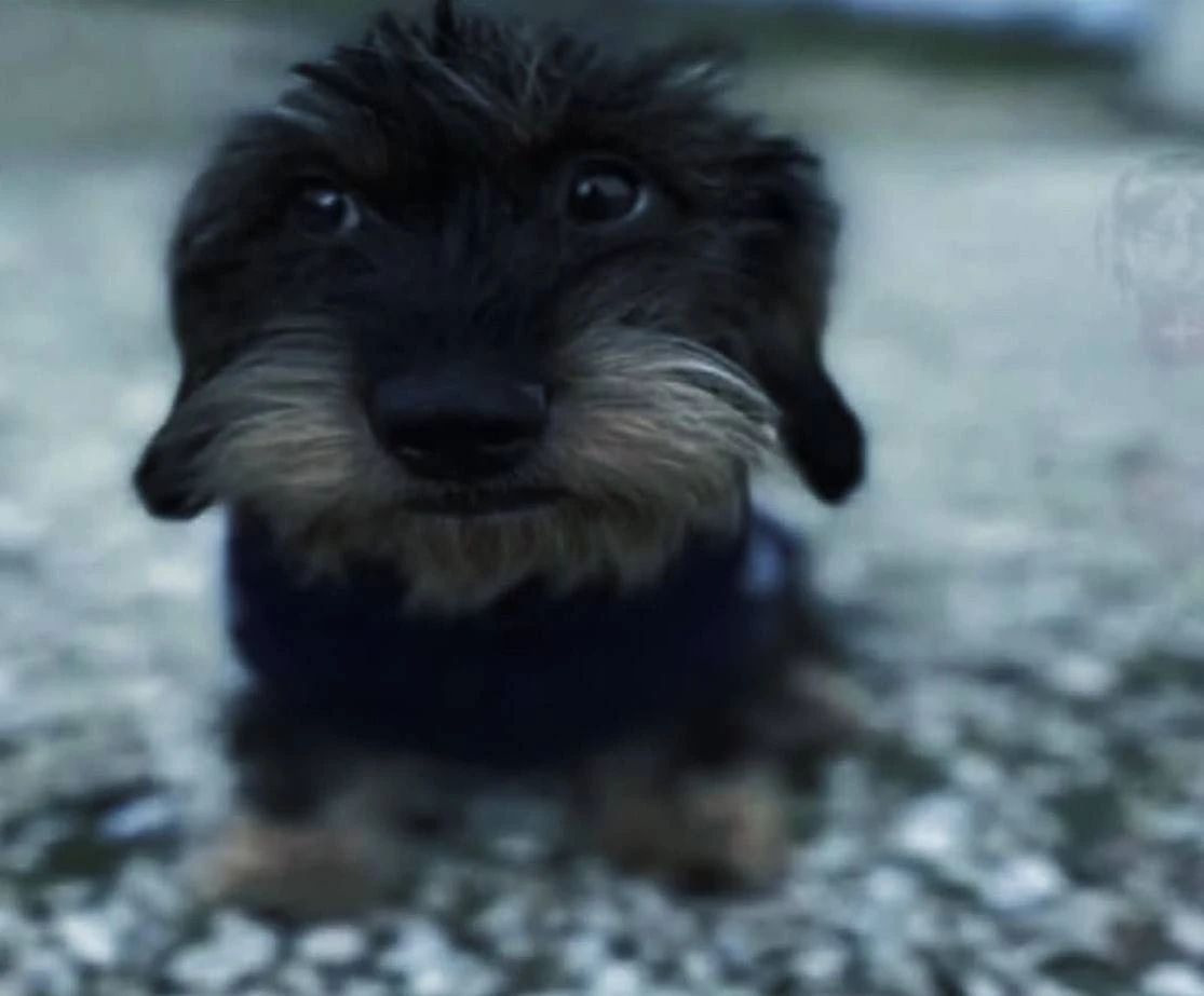 Talk:MRT | DIMENSIONAL COALESCENCE Wiki | Fandom