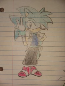 Skid the Hedgehog | Sonic Fan Wiki | Fandom