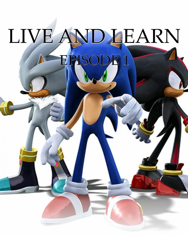 LIVE AND LEARN | Sonic Fan Comics Wiki | Fandom