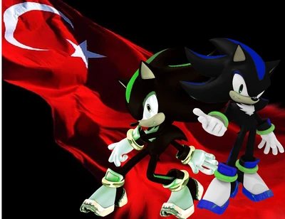 SonicFanGroup Wiki | Fandom