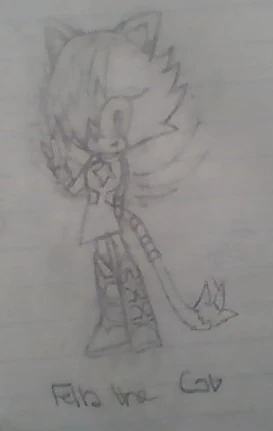 Fella the Fairy Cat | Sonic Fanon Wiki | Fandom