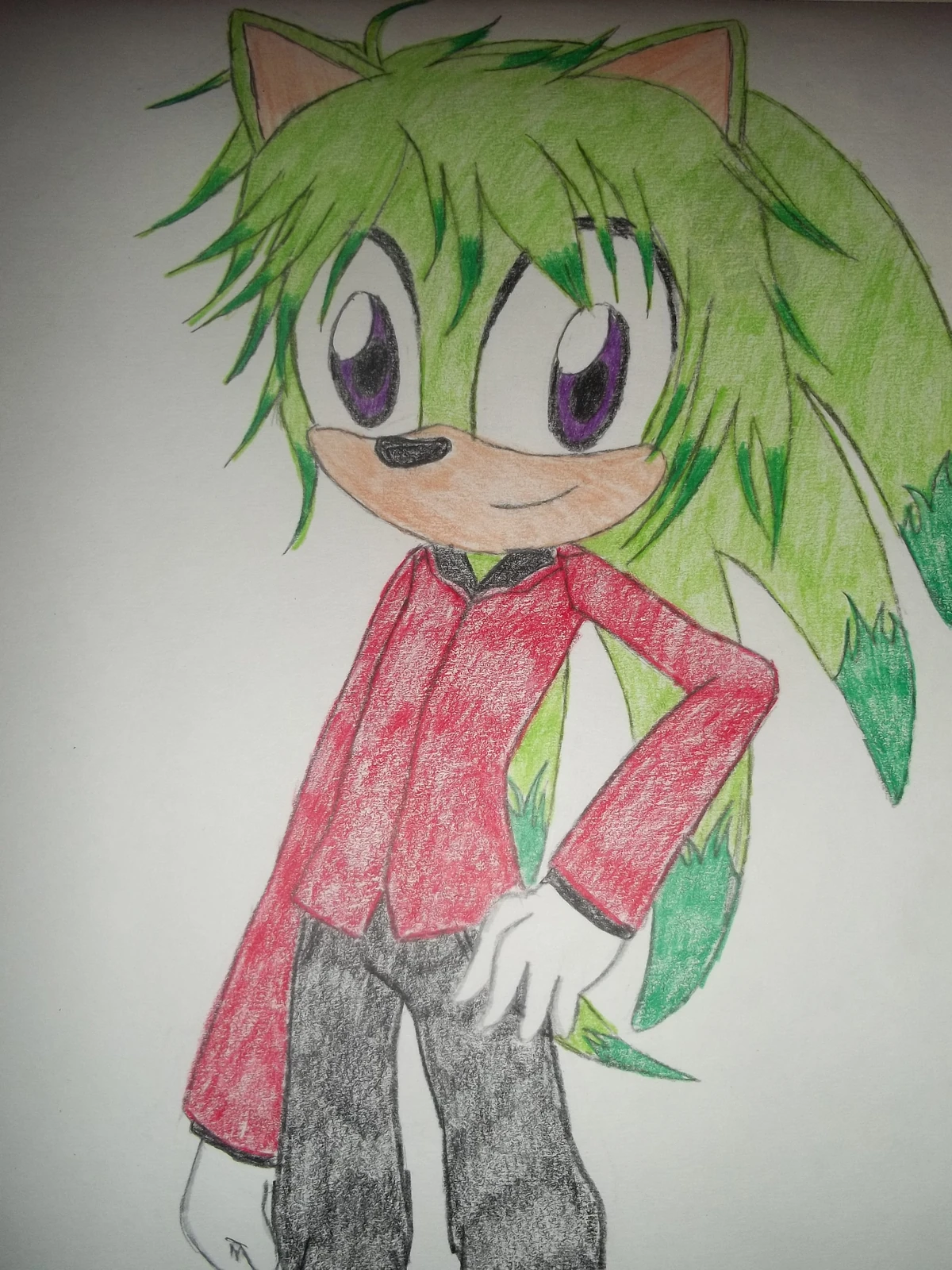 Isao the Hedgehog | Sonic Fanon Wiki | Fandom