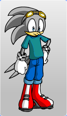 Nate The Hedgehog